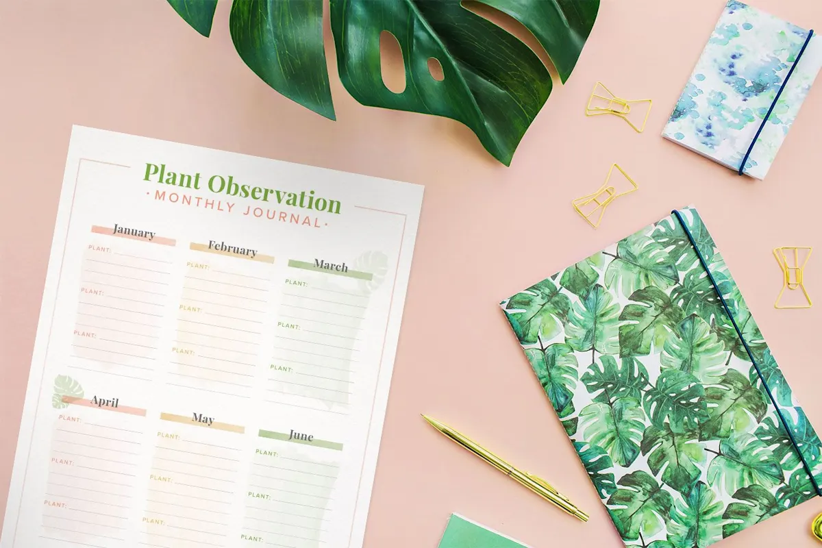 Houseplant Care Printables for Any Plant Lover | Proflowers Blog