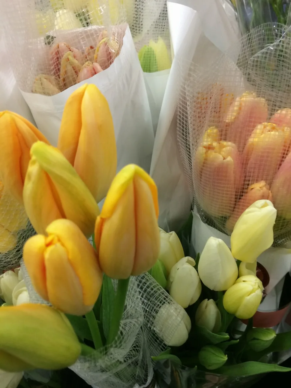 Spring Flowers - Fresh by FTD