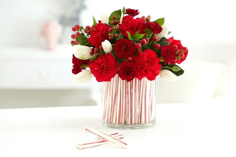 4 Fresh Ways to Decorate with Candy Cane - ProFlowers Blog