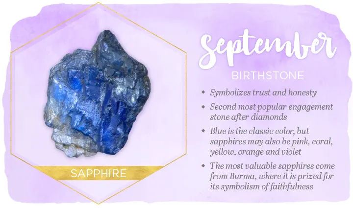 September Birth Flower: Aster - FTD.com