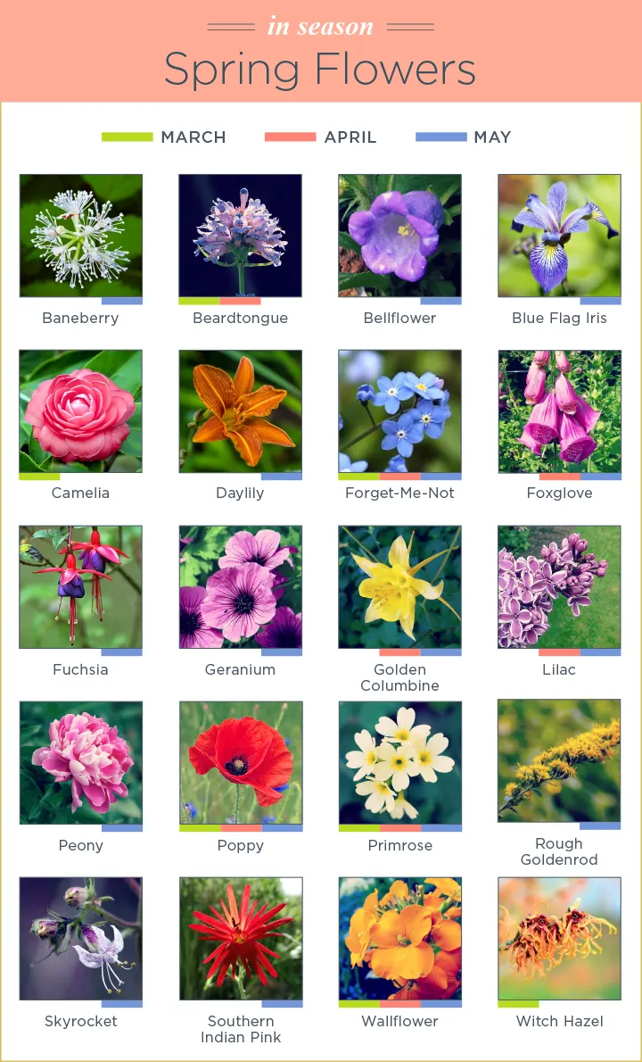 What Flowers Are In Season? - FTD.com
