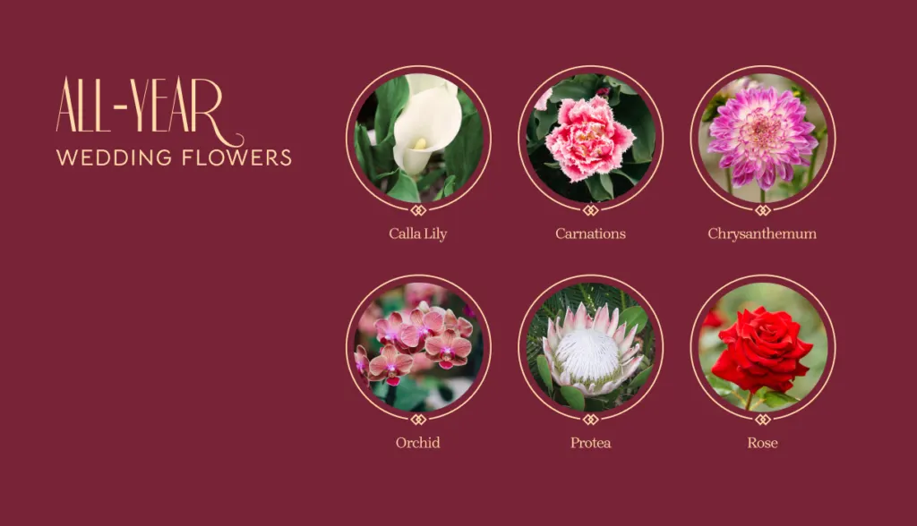 Essential Guide to Popular Wedding Flowers | FTD