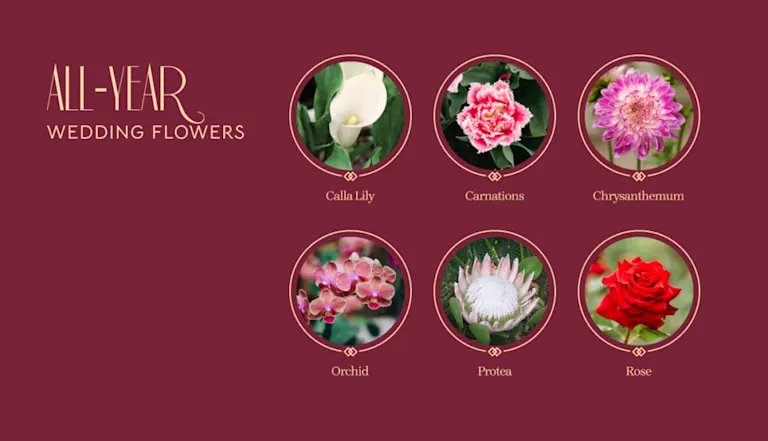 Essential Guide to Popular Wedding Flowers | FTD