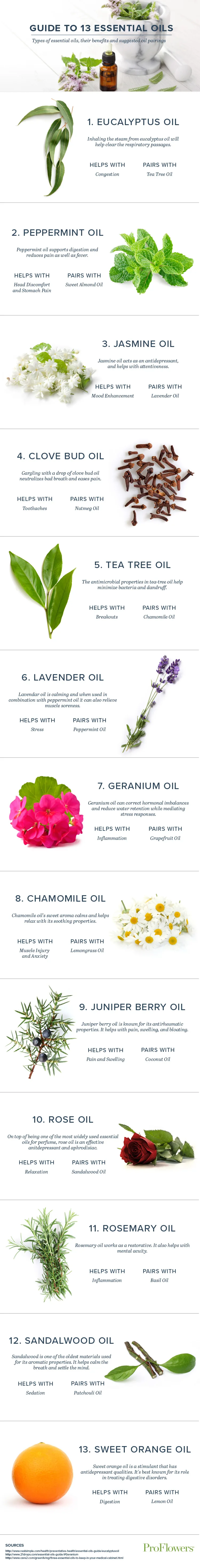 Essential Oils Guide: Benefits and Pairings - ProFlowers Blog