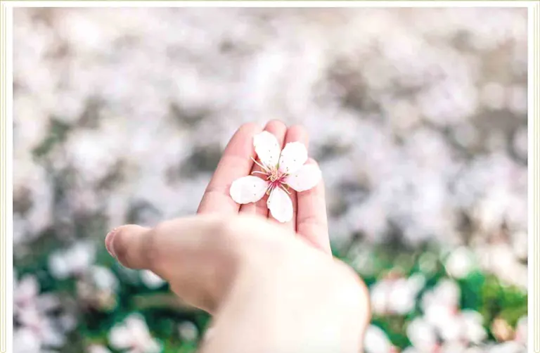 80 Quotes About Flowers to Freshen Your Day | Proflowers Blog