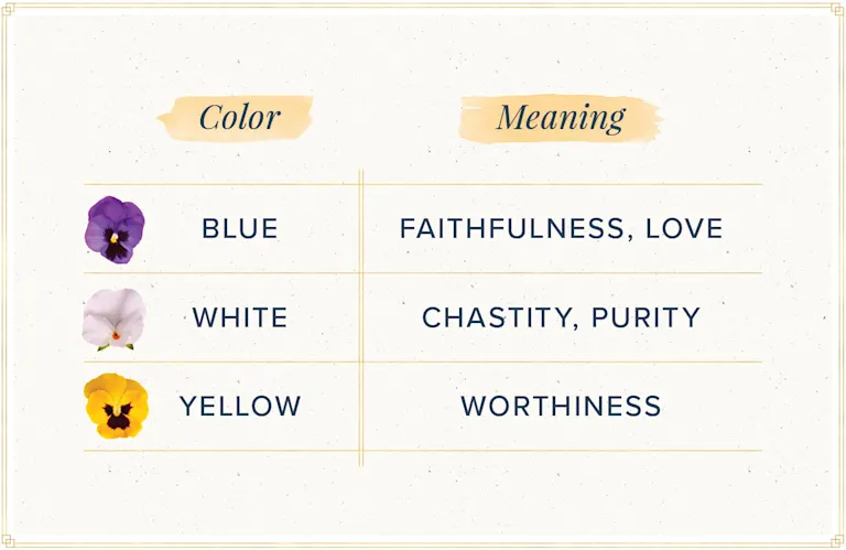 February Birth Flower + More: Violet | Proflowers Blog