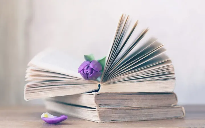 10 Flower-Inspired Novels to Add to Your Reading List - FTD.com