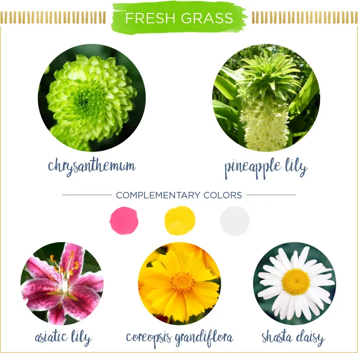 32 Summer Flowers to Brighten Up Your Home and Garden - FTD.com