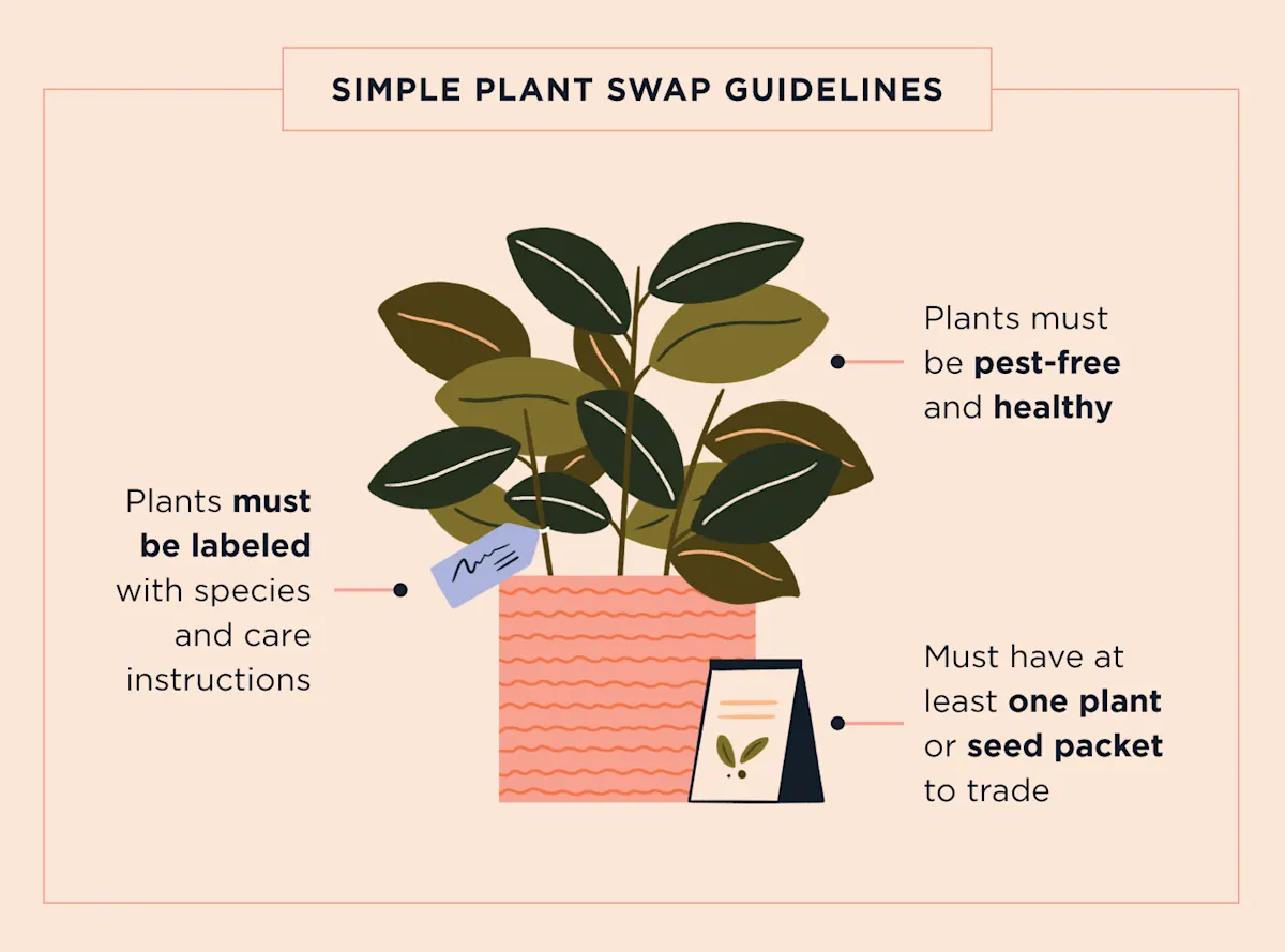 Your Guide to Hosting a Neighborhood Plant Swap | FTD.com