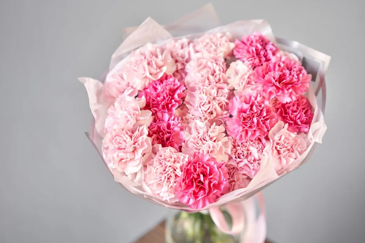 History and Meaning of Carnations | Proflowers Blog