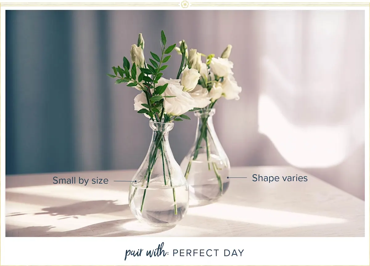 14 Vase Shapes + How to Choose - ProFlowers Blog