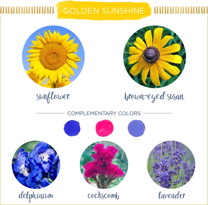 32 Summer Flowers to Brighten Up Your Home and Garden - FTD.com