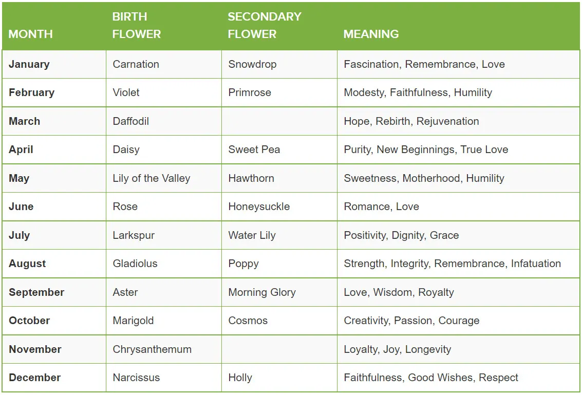 The Complete Guide of Birth Month Flowers | Proflowers Blog