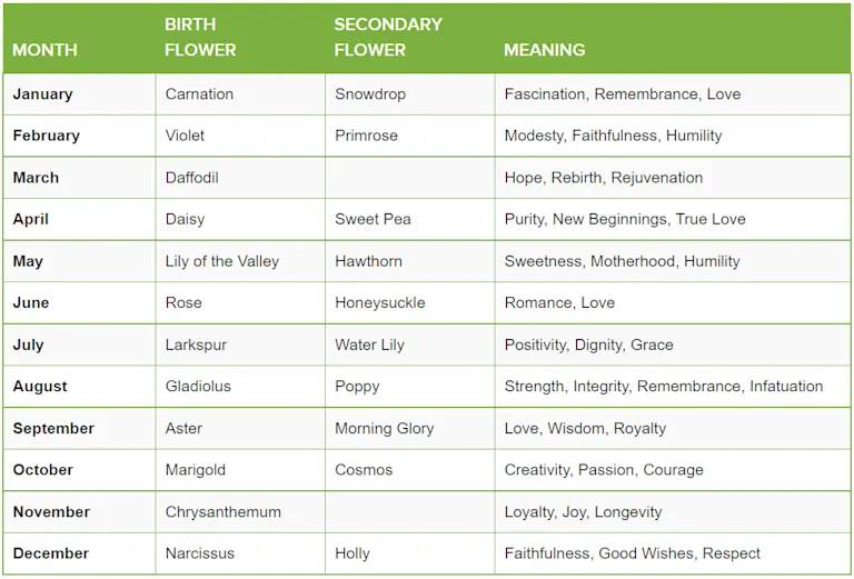 The Complete Guide of Birth Month Flowers | Proflowers Blog