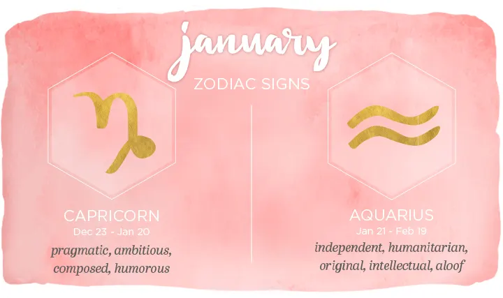 January Birth Flower: Carnation - FTD.com