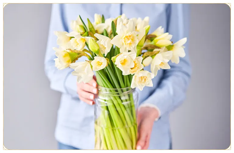 Daffodil Care Guide: How to Care for Daffodils + Growing Tips ...