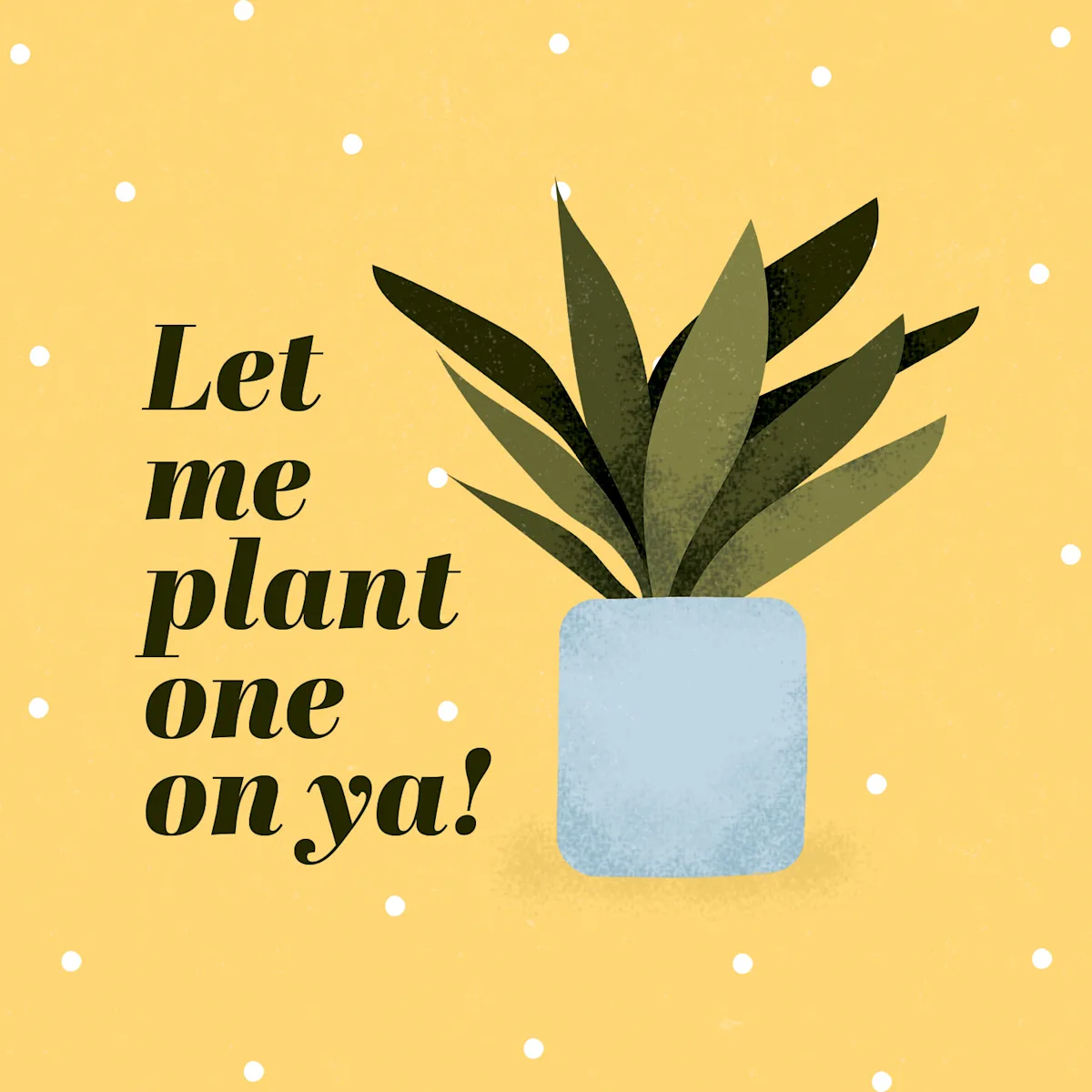 50 Plant and Cactus Puns for Your Inner Plant Lady | Proflowers Blog