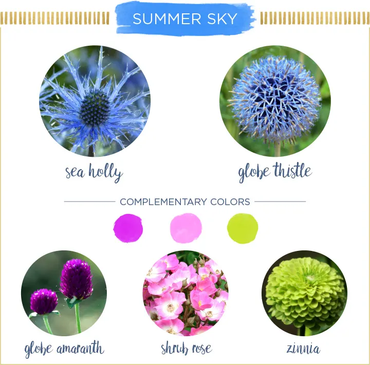 32 Summer Flowers to Brighten Up Your Home and Garden - FTD.com