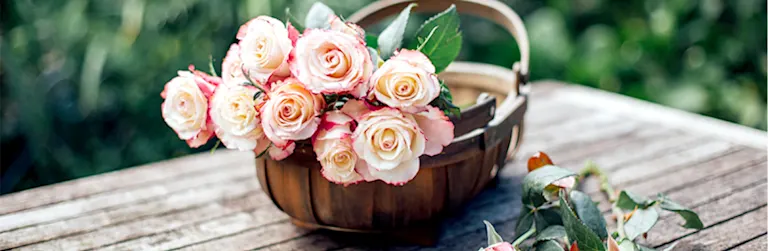 How Long do Roses Last? | Proflowers Blog