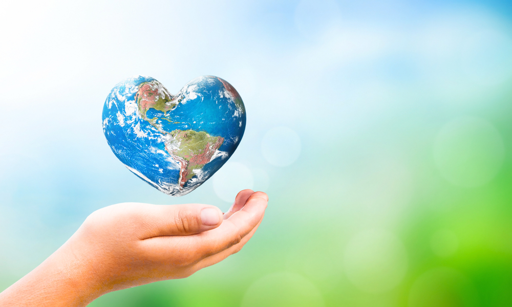 Earth Day Guide (History & Celebrations) | FTD