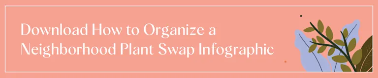 Your Guide to Hosting a Neighborhood Plant Swap | FTD.com