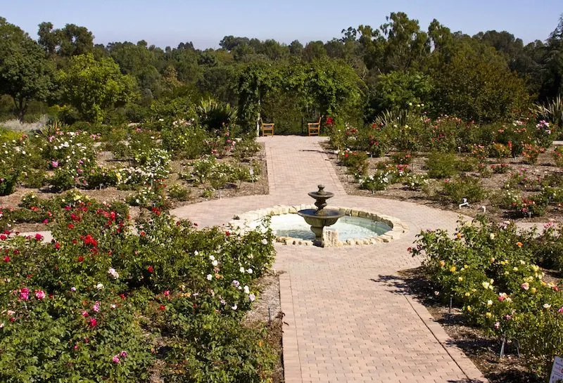 The 15 Best Botanical Gardens in California - ProFlowers Blog