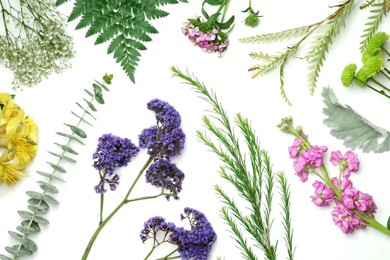 20 Types of Greenery and Filler Flowers - FTD.com