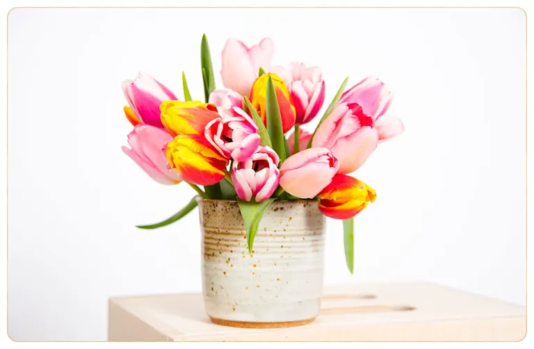 Roses Archives - ProFlowers Blog