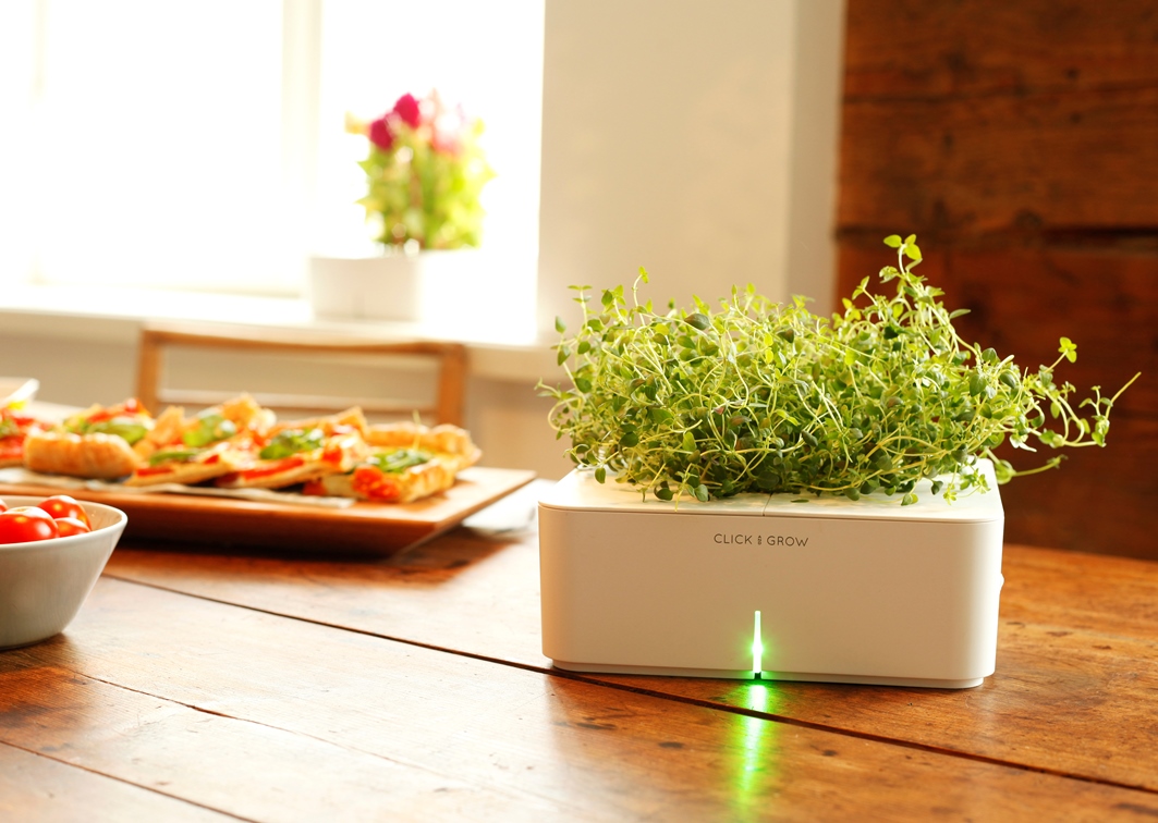 Click & Grow: Product Discovery - Fresh by FTD