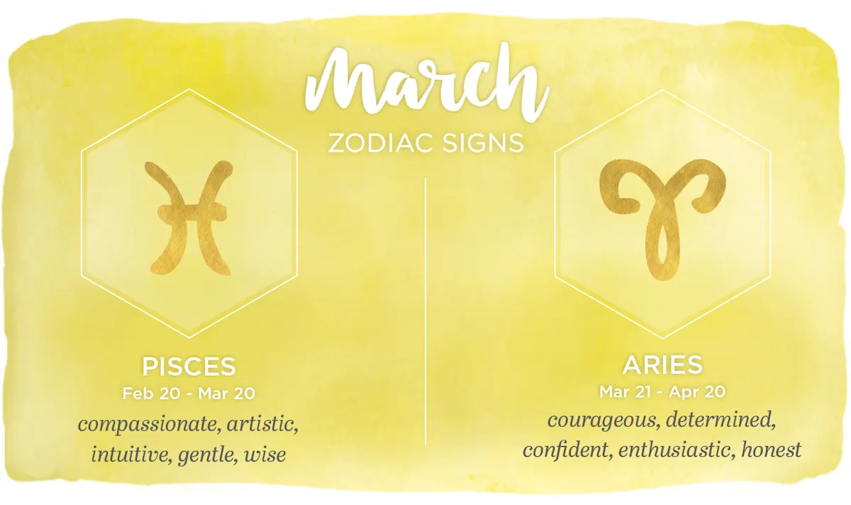 March Birth Flower: Daffodil - FTD.com