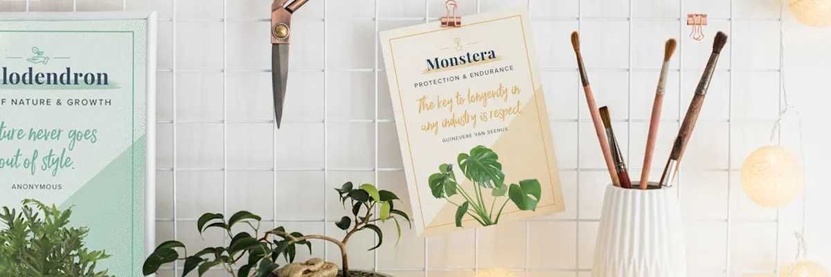 Plant Symbolism Guide: 31 Plants for Every Personality - ProFlowers Blog