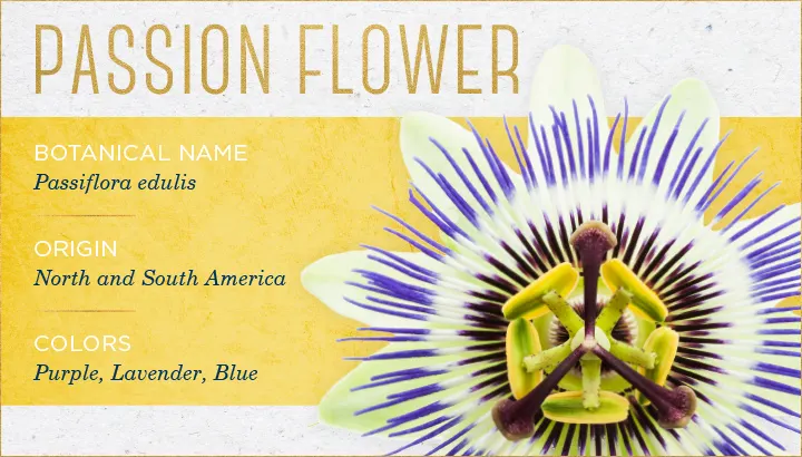 The 20 Most Beautiful Flowers You’ll Ever See - FTD.com