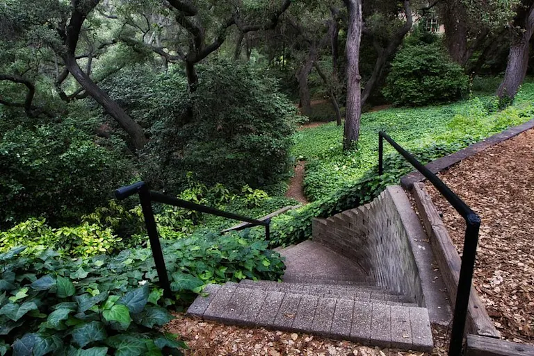 The 15 Best Botanical Gardens in California - ProFlowers Blog