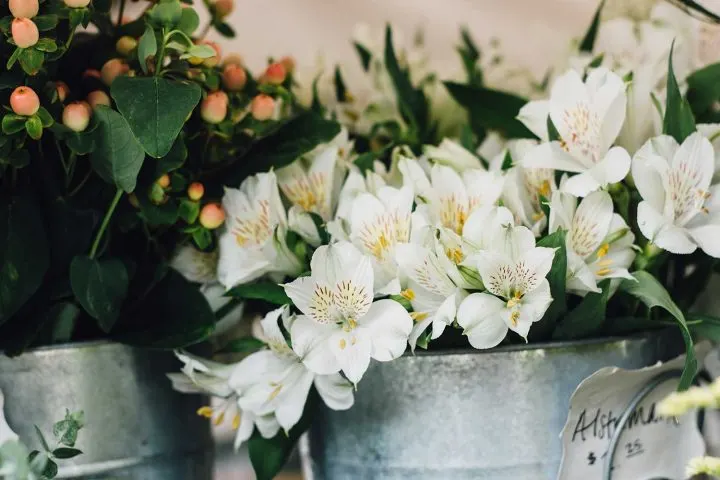 20 of the Most Romantic Flowers For Your Love | FTD