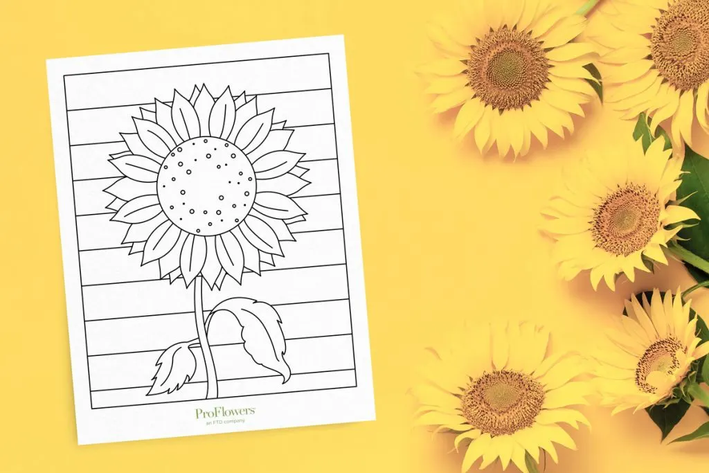 Free Printable Sunflower Coloring Pages for All Ages | Proflowers Blog