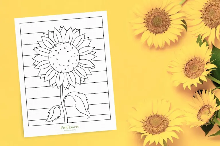 Free Printable Sunflower Coloring Pages for All Ages | Proflowers Blog