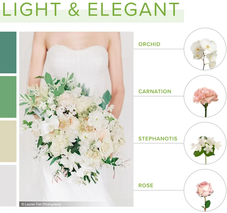 30+ Spring Flowers for the Perfect Bouquet | Proflowers Blog