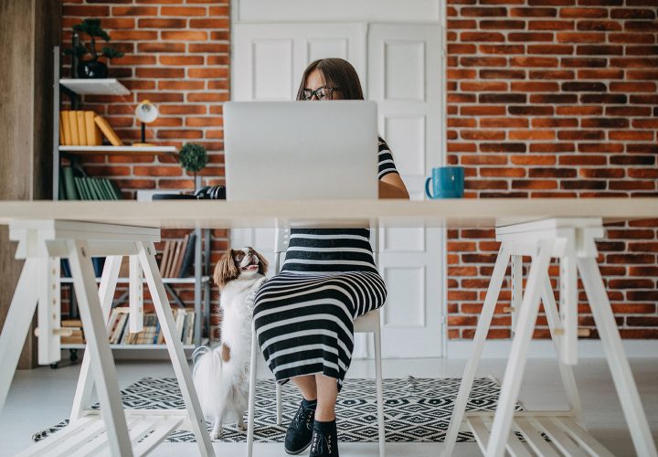 How to Reach Your Helper’s High From Home | FTD