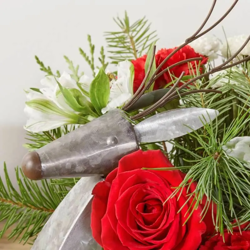 Flower tips - Plant Guides – Holiday Gifts and More | FTD Blog