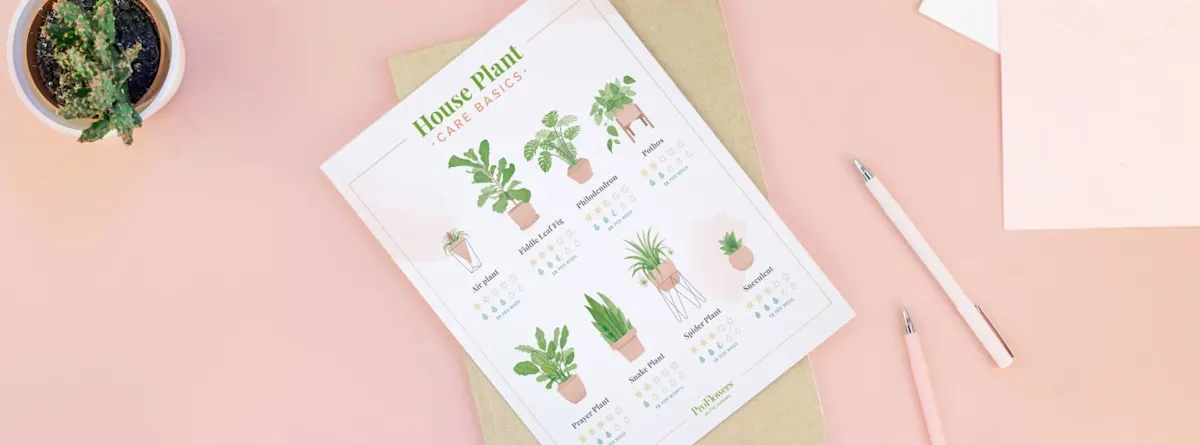 Houseplant Care Printables for Any Plant Lover - ProFlowers Blog