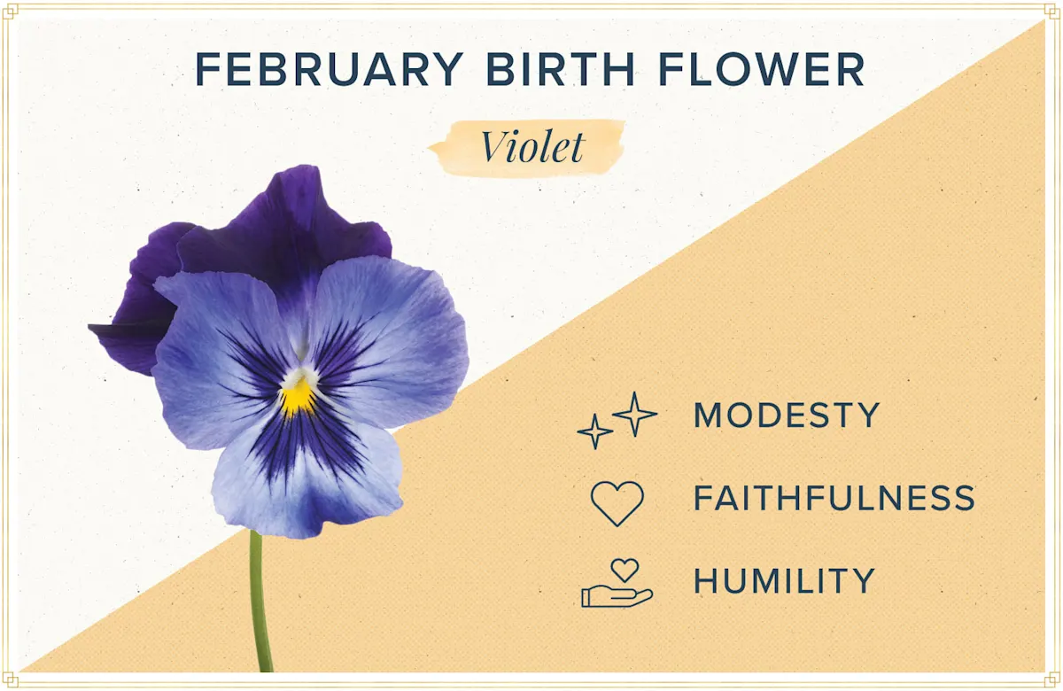The Complete Guide of Birth Month Flowers | Proflowers Blog