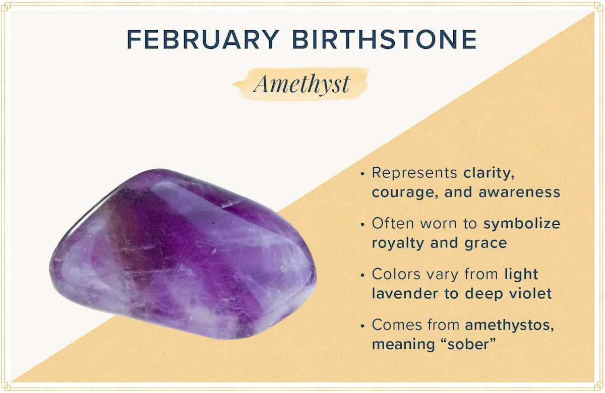 February Birth Flower + More: Violet | Proflowers Blog