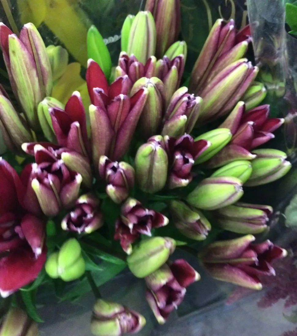 Spring Flowers - Fresh by FTD