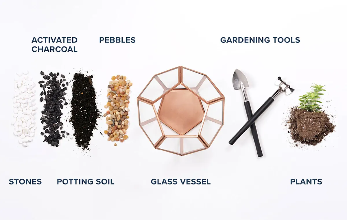 How to Make a Terrarium in 5 Easy Steps | Proflowers Blog