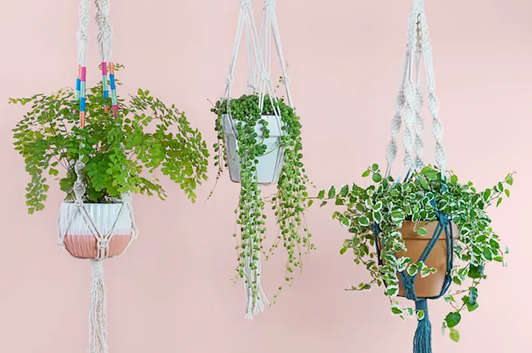 How to Make A Macramé Plant Hanger - FTD.com