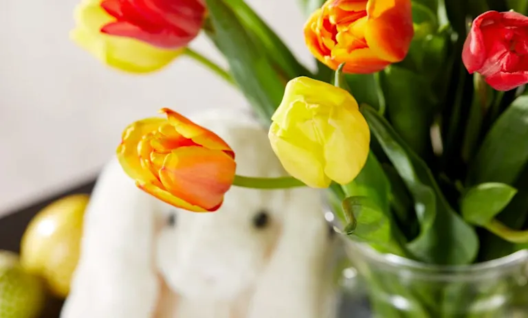 Flower tips - Plant Guides – Holiday Gifts and More | FTD Blog