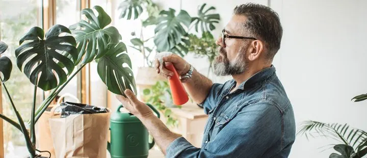 15 Common Indoor Plant Problems: Treatment, Prevention and Care Tips | FTD