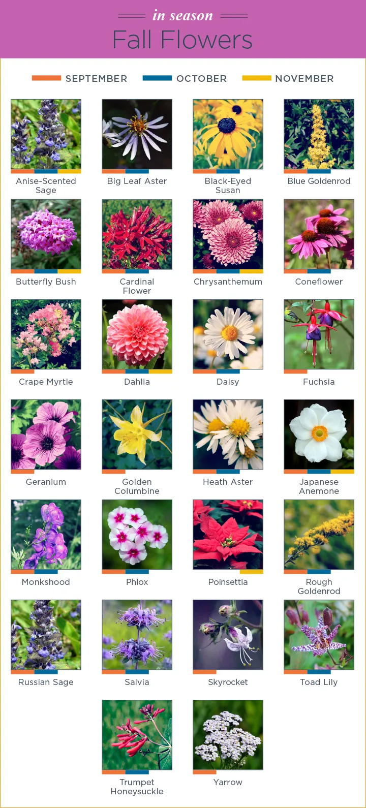 What Flowers Are In Season? - FTD.com