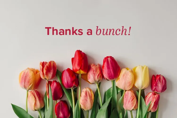 35 Heartfelt Thank You Message Examples for Every Occasion