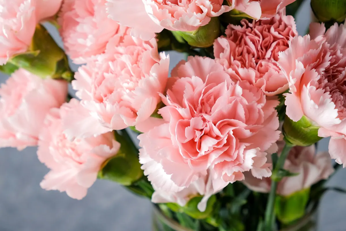 Best Sympathy Flowers: 12 Florals, Their Meaning and Etiquette Tips ...